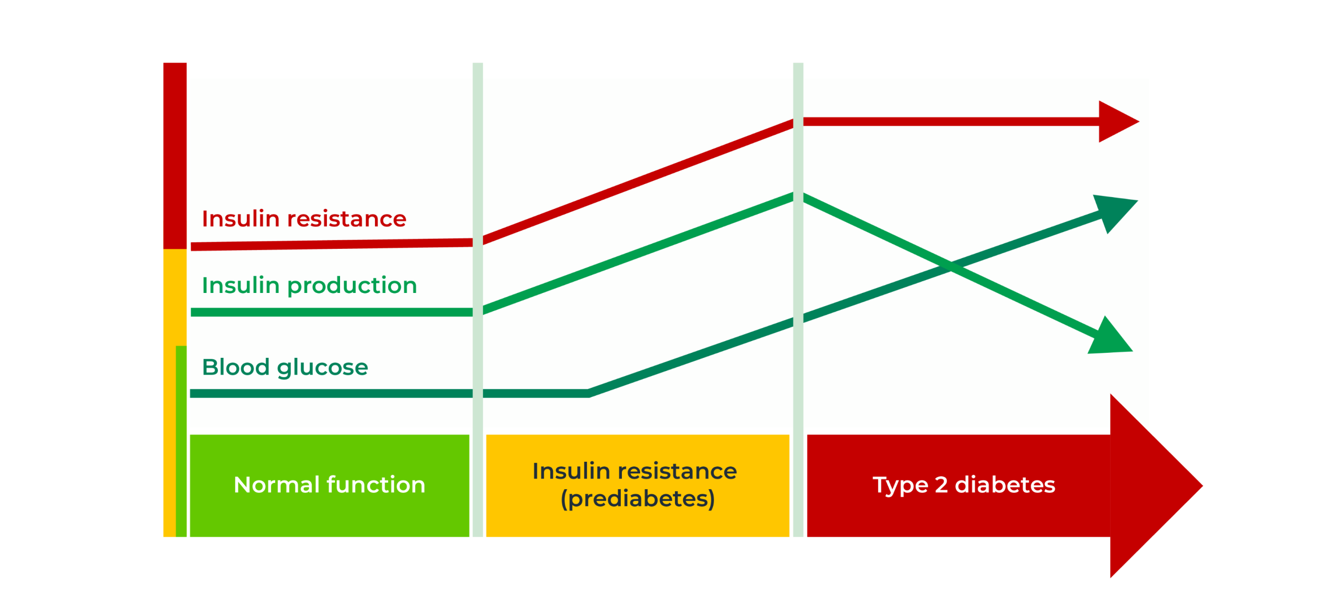 Navigating HbA1c with InisdeTracker